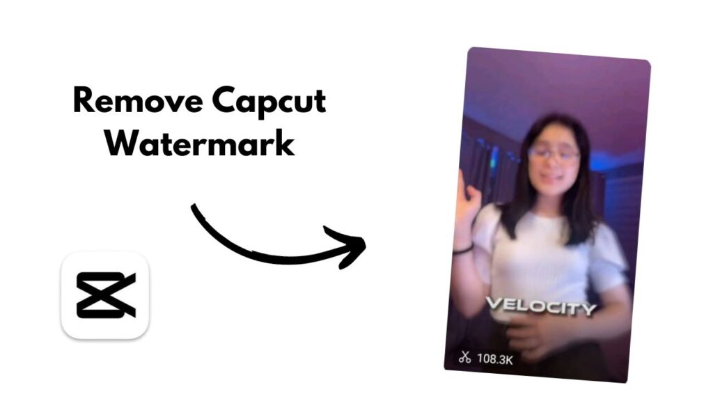 CapCut Creator Program Turn Your creativity into Profit